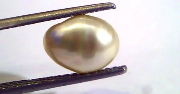 3.49 Ct Certified Natural Venunjula Real Pearl/Real Moti For Moon