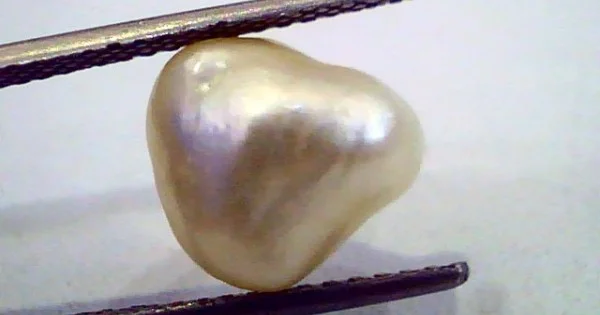 7.28 Ct Certified Natural Real Venunjula Pearl,Real moti