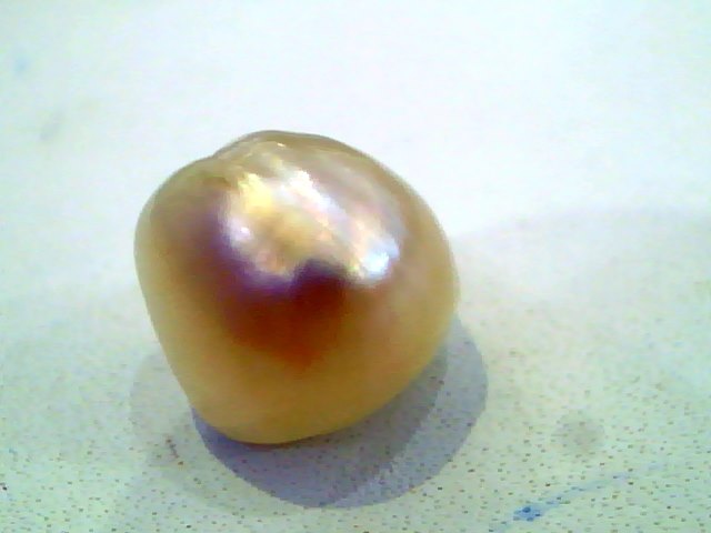 Huge 10.33 Ct Certified Natural Real Venunjula Pearl,Real moti