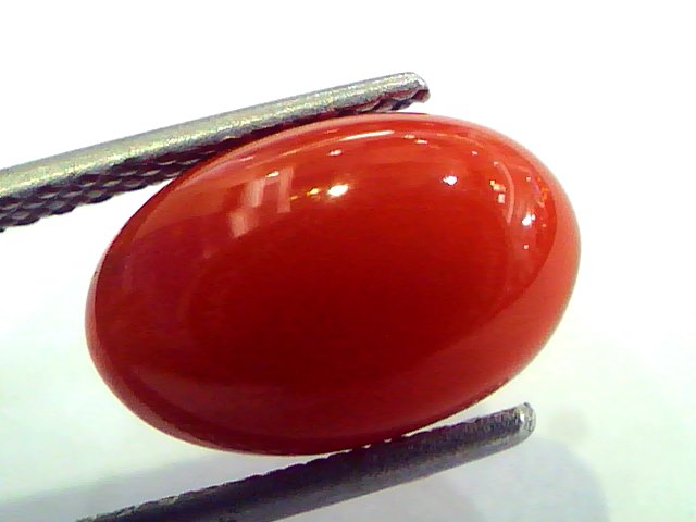 4.68 Ct Top Grade Premium Untreated Natural Japan Red Coral - Sold Gems